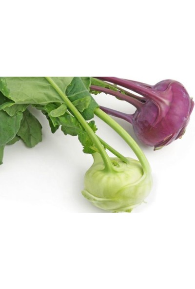Hastat Alabaş Turp Kohlrabi 2 kg Hastat Alabaş Turp Kohlrabi 2 kg