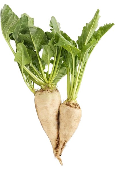 Hastat Şeker Pancarı 2 kg