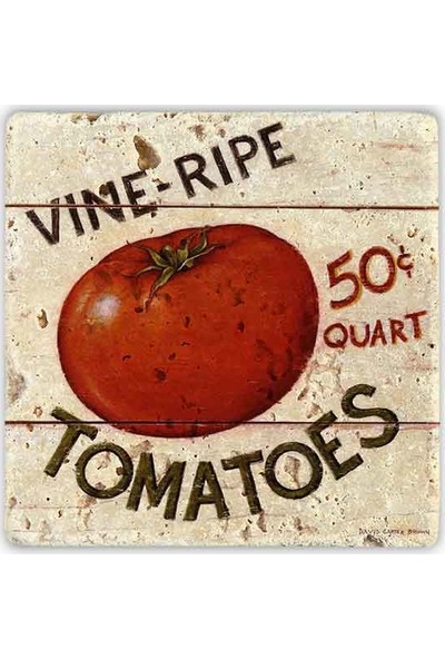 Oscar Stone Decor Doğaltaş Duvar Dekoru