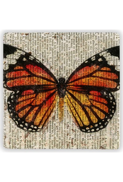 Oscar Stone Decor Doğaltaş Duvar Dekoru