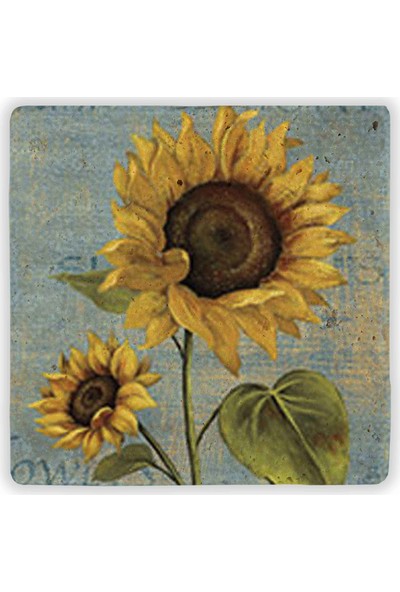 Oscar Stone Decor Doğaltaş Duvar Dekoru Oscar Stone Decor Doğaltaş Duvar Dekoru