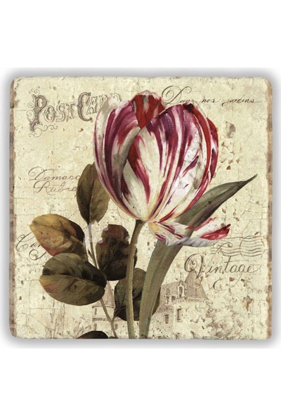 Oscar Stone Decor Doğaltaş Duvar Dekoru