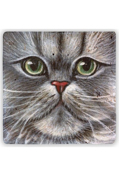 Oscar Stone Decor Doğaltaş Duvar Dekoru