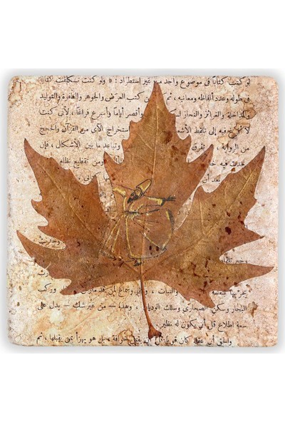 Oscar Stone Decor Doğaltaş Duvar Dekoru Oscar Stone Decor Doğaltaş Duvar Dekoru