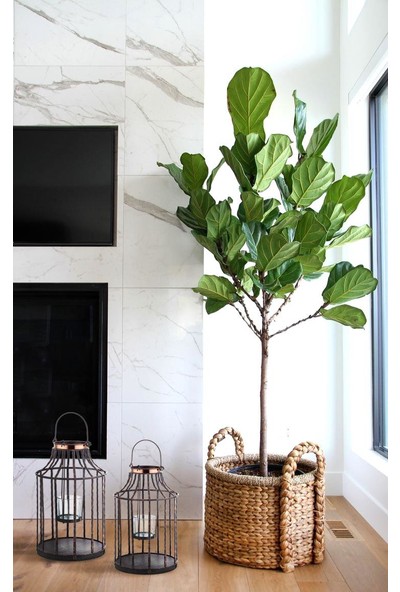 The Mia DKR0237 Fener Ahşap Metal - Siyah-Gold 17*32 Cm