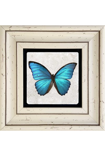 Oscar Stone Decor Çerçeveli Taş Duvar Tablosu