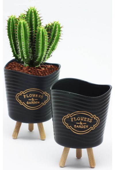 Tuğra Saksı Sunumluk 2 Adet Siyah Sepet Saksı Ahşap Ayak