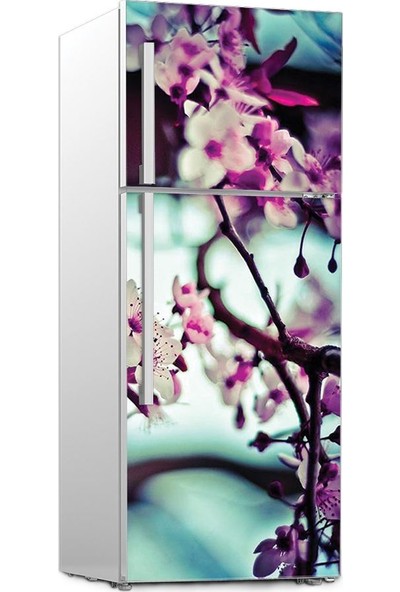 Renkselart Buz Dolabı Beyaz Eşya Sticker 019 Renkselart Buz Dolabı Beyaz Eşya Sticker 019