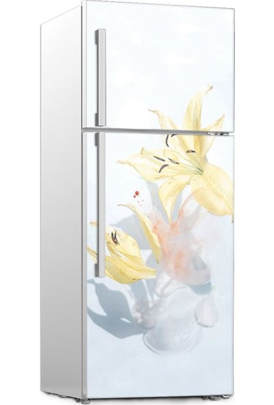 Renkselart Buz Dolabı Beyaz Eşya Sticker 127 Renkselart Buz Dolabı Beyaz Eşya Sticker 127