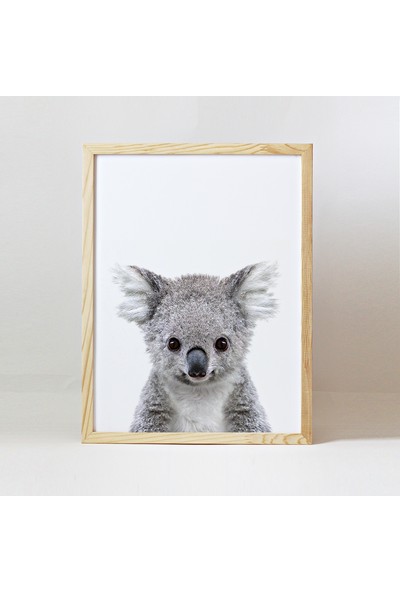 Minik Ayı Baby Animals Ahşap Çerçeve - Yavru Koala Minik Ayı Baby Animals Ahşap Çerçeve - Yavru Koala