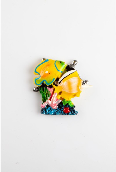Dünyadan Hediyeler Magnet Okyanus Balıkları Polyester