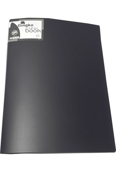 Gingko Sunum Dosyası