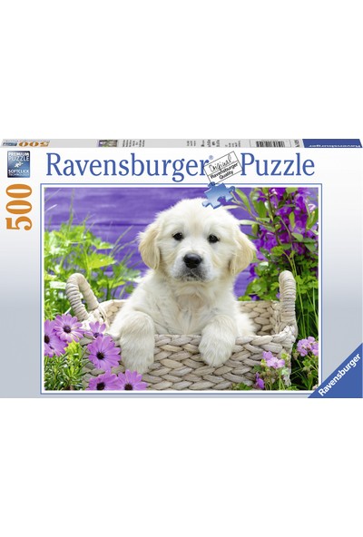 Ravensburger Golden Retriever 500 Parça Puzzle
