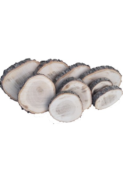 Akol Çiftliği Doğal Meşe Ağacı Kütük Dilimleri. 11 - 14 cm Zımparalı 10'lu