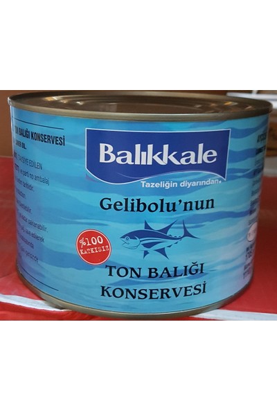Alaeddin Aycicek Yagli Ton Baligi 1705 gr Alaeddin Aycicek Yagli Ton Baligi 1705 gr