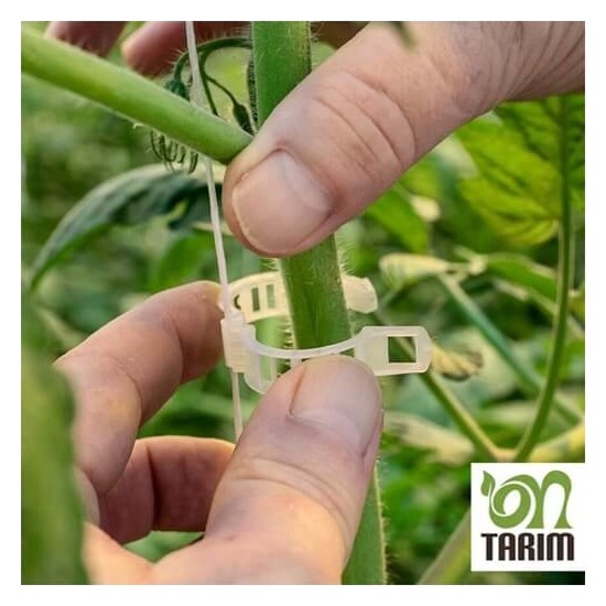 On Tarım Sağlam ve Dayanıklı Domates Klipsi 250 Adet 25 mm Fiyatı