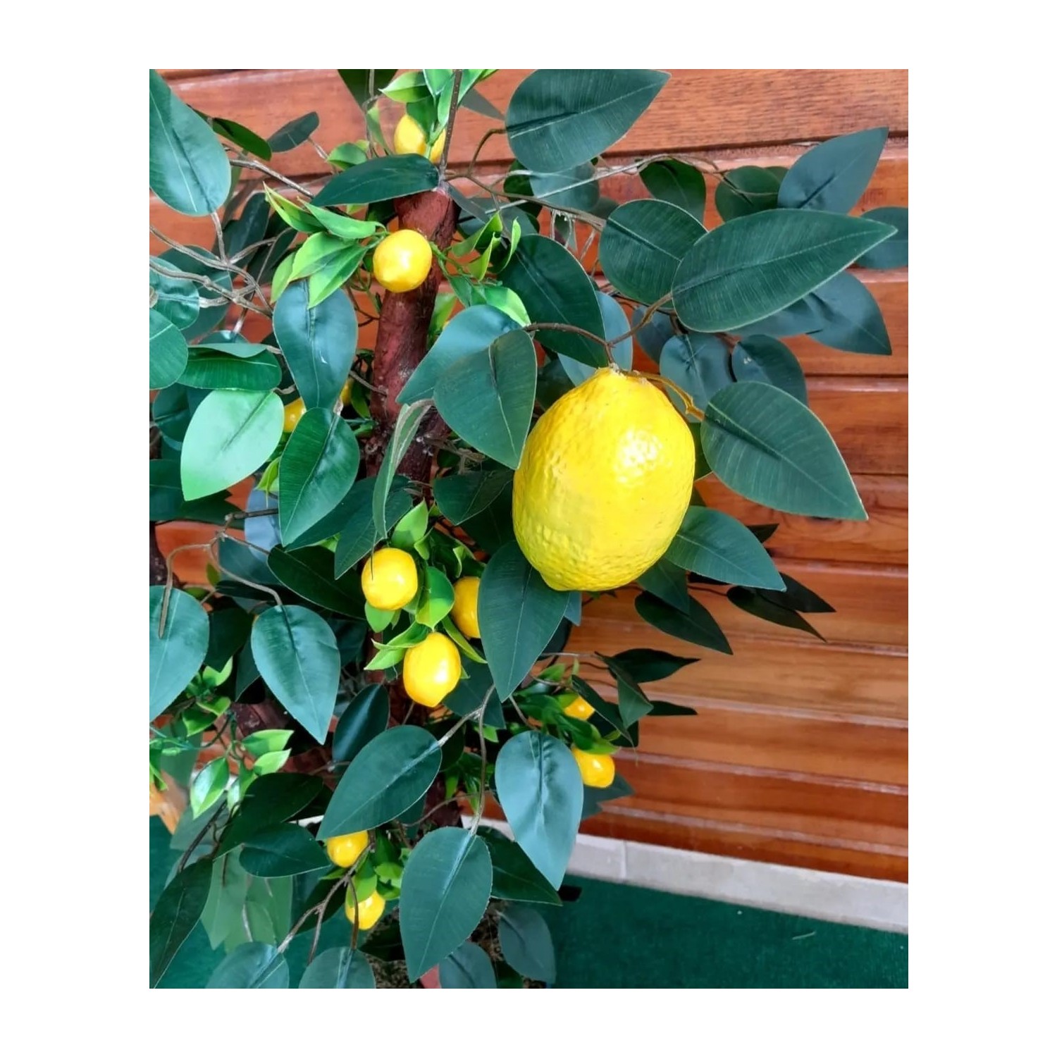 Botanik Bahçesi Yapay Limon Ağacı 1 Metre Boy Çok Doğal Fiyatı