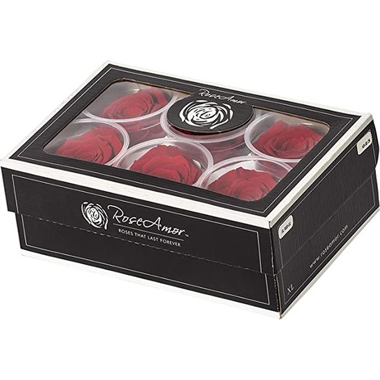 Rose Amor Red-02 Kırmızı Şoklanmış Solmaz Gül Xl Fiyatı