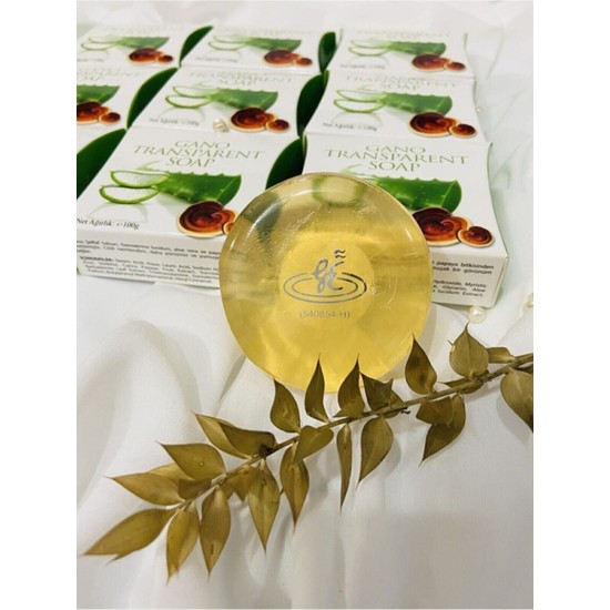 Gano Soap Soap Excel Şeffaf Transparent Aloveralı Sabun 100 Fiyatı