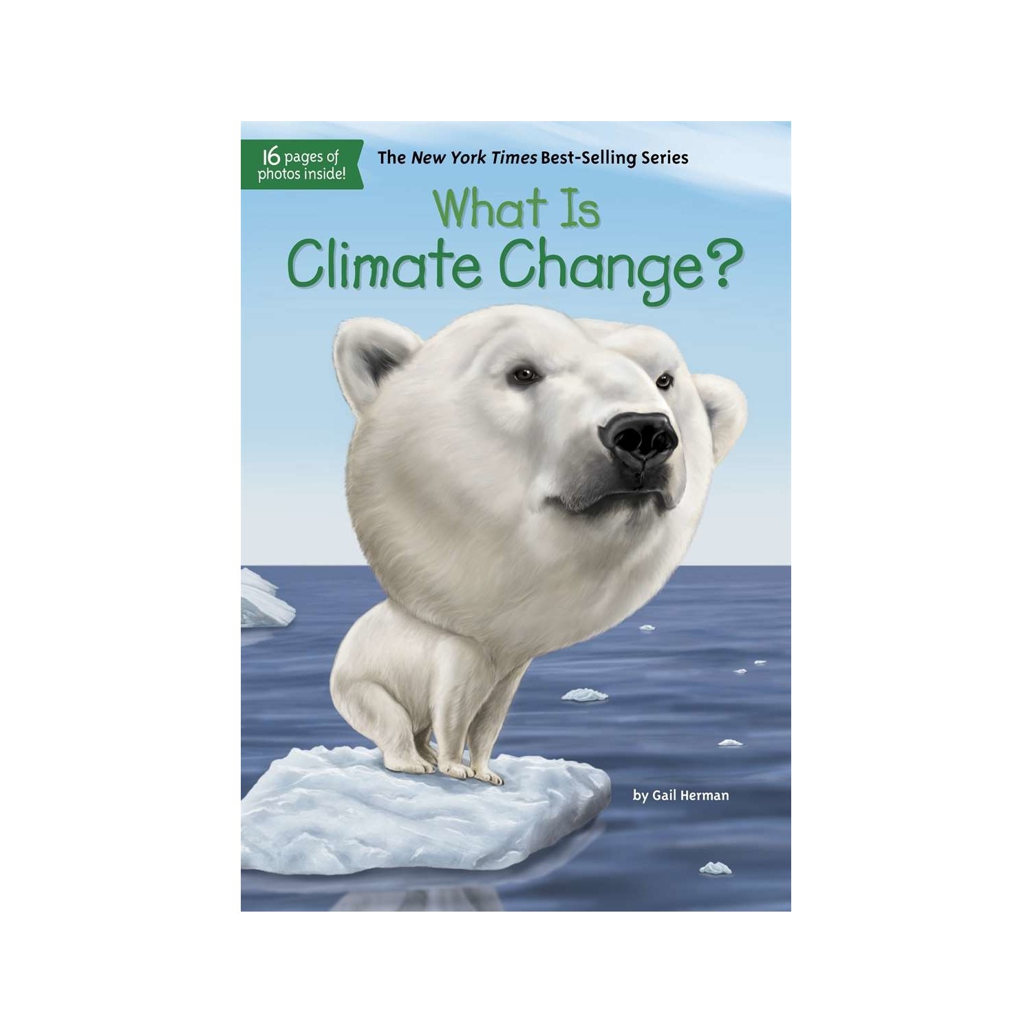 What Is Climate Change? - Gail Herman Kitabı ve Fiyatı