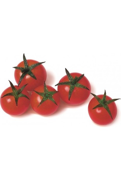 Erüst Tropikal Sepet Çeri Domates 250 gr