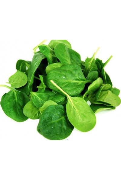 Chef's Garden Tropikal Sepet Ispanak 700 gr Chef's Garden Tropikal Sepet Ispanak 700 gr