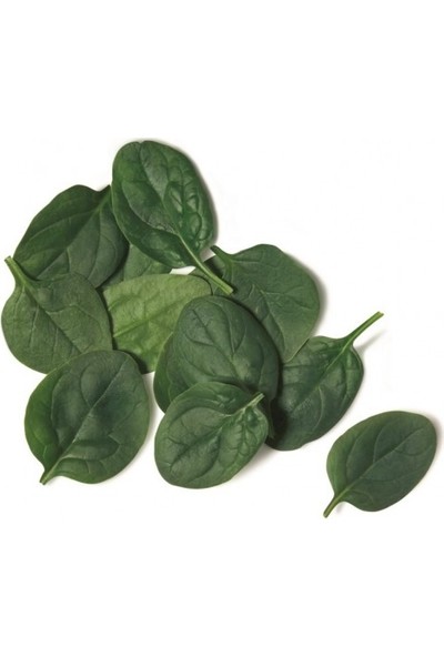 Erüst Tropikal Sepet Mini Ispanak 150 gr