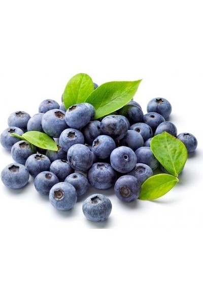 Chef's Garden Tropikal Sepet Yaban Mersini (Blue Berry) 125 gr