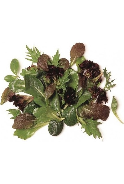 Erüst Tropikal Sepet Maskolin Salata 150 gr