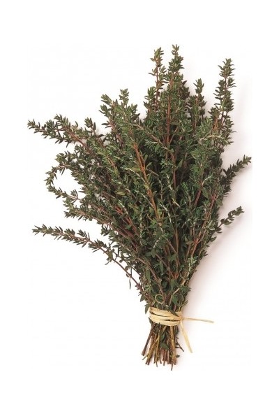 Chef's Garden Tropikal Sepet Kekik (Thyme) 25 gr