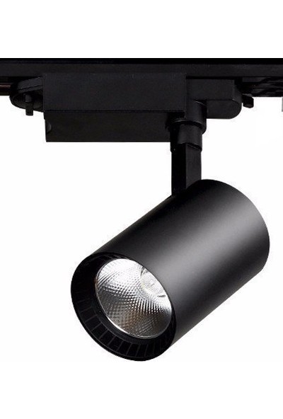 Elıght Ledli Ray Spot Siyah Kasa 30 Watt Beyaz Işık 6500K Elıght Ledli Ray Spot Siyah Kasa 30 Watt Beyaz Işık 6500K