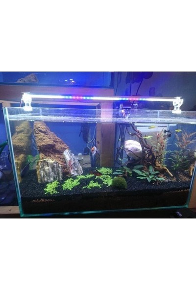 Aqualed Led Aydınlatma Armatür Karışık Renkli Beyaz-Kırmızı-Mavi 70Cm Aqualed Led Aydınlatma Armatür Karışık Renkli Beyaz-Kırmızı-Mavi 70Cm