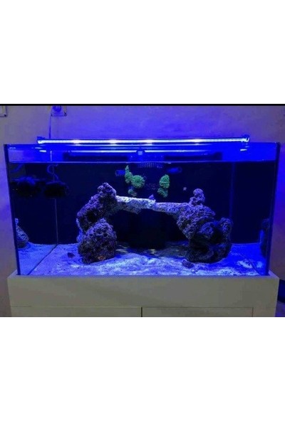 Aqualed Led Aydınlatma Armatür Royal Mavi 70Cm Aqualed Led Aydınlatma Armatür Royal Mavi 70Cm