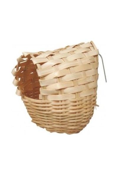 Hasır Hint Bülbülü Yuvası