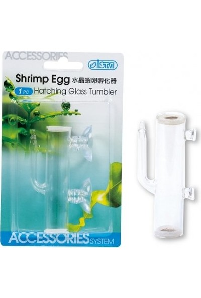 İsta Karides Yumurtlama