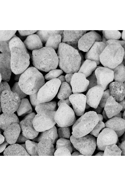 Seachem Matrix 1000Ml 700Gr. Açık (Bakteri Substratı-Biofiltre) Seachem Matrix 1000Ml 700Gr. Açık (Bakteri Substratı-Biofiltre)