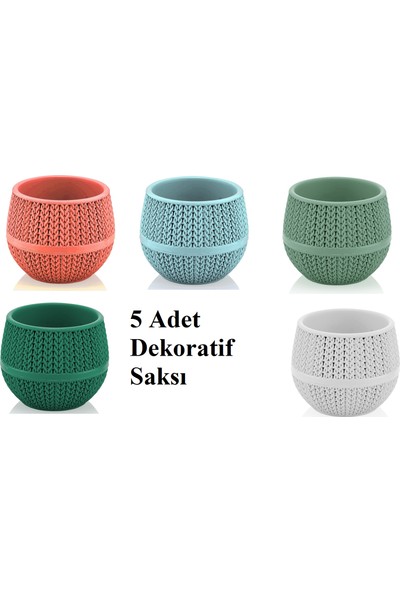 Serinova Amasra Bitki ve Kaktüs Saksısı 0.13 lt 5'li Set Serinova Amasra Bitki ve Kaktüs Saksısı 0.13 lt 5'li Set