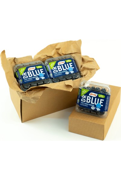 Verita Dr. Blue 3'lü Keşif Paketi