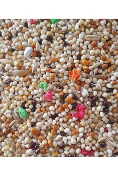 Woddy Karışık Muhabbet kuşu Yemi 1 kg