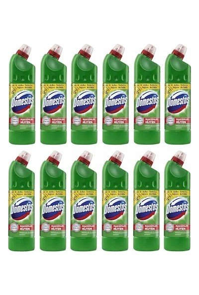 Domestos Çamaşır Suyu Dağ Esintisi 806 gr 12'li Set
