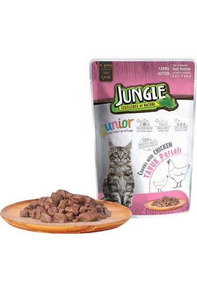 Jungle Pouch Yavru Kedi Tavuk Parçalı Jelli Yaş Mama 100 gr Jungle Pouch Yavru Kedi Tavuk Parçalı Jelli Yaş Mama 100 gr