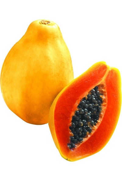 Serdar Çam Tohumculuk Tropikal Meyve Papaya Ağacı Tohumu 3'lü Serdar Çam Tohumculuk Tropikal Meyve Papaya Ağacı Tohumu 3'lü