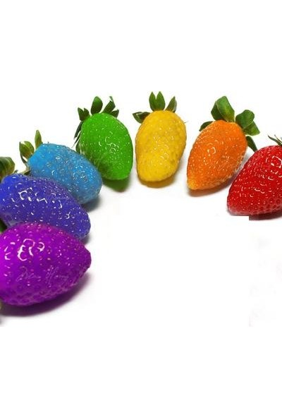 Serdar Çam Tohumculuk Nadir 9 Renk Çilek Tohumu 18'li