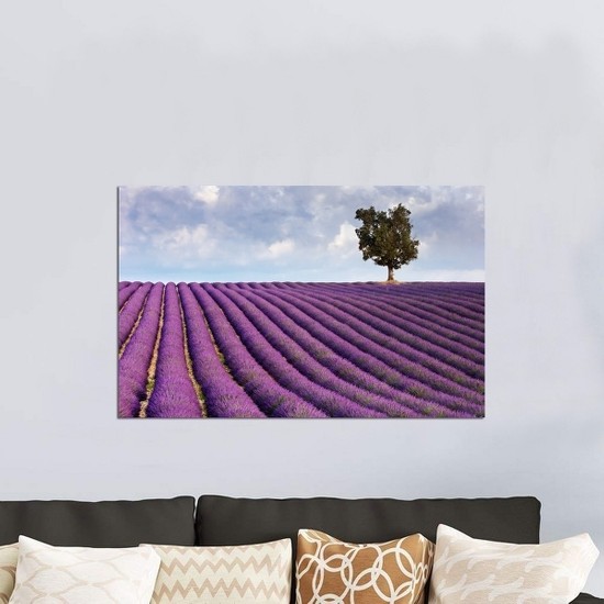 Tablosan Lavanta Tarlası Fotoğraf Kanvas Tablo Fiyatı