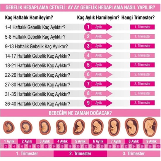 Biosal Folik Asit Tablet Folic Fiyatı - Taksit Seçenekleri