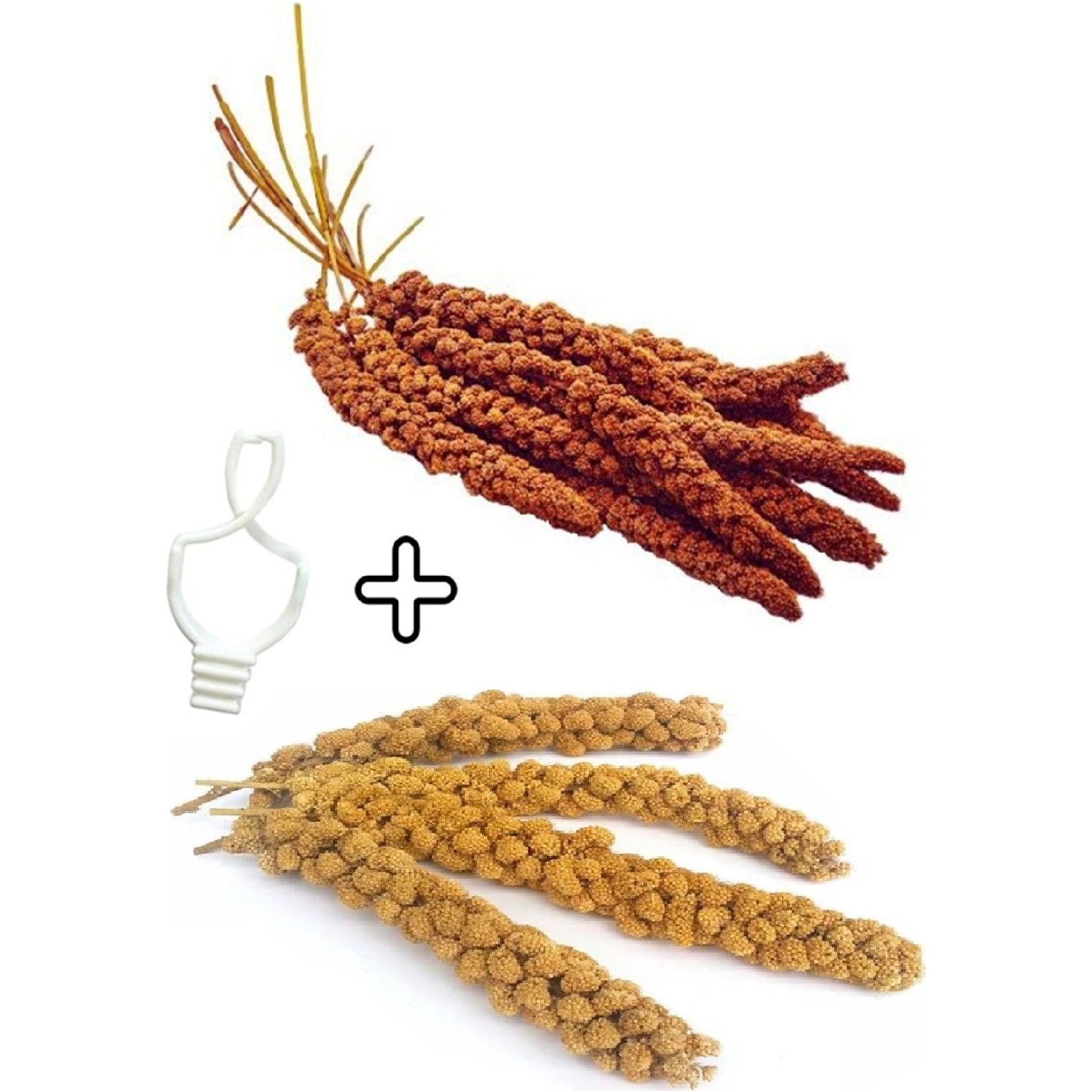 Petistera Kızıl Dal Darı 150 gr & Ak Dal Darı 150 gr + Fiyatı