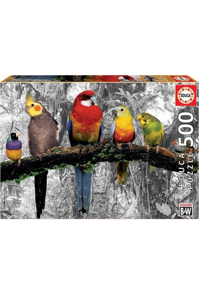 Educa Birds On The Jungle 500 Parça Puzzle No. 17984 Educa Birds On The Jungle 500 Parça Puzzle No. 17984