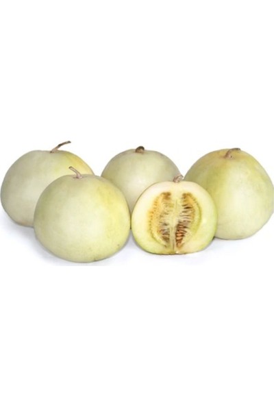 Serdar Çam Tohumculuk Elma Kavunu Tohumu 5'li Serdar Çam Tohumculuk Elma Kavunu Tohumu 5'li