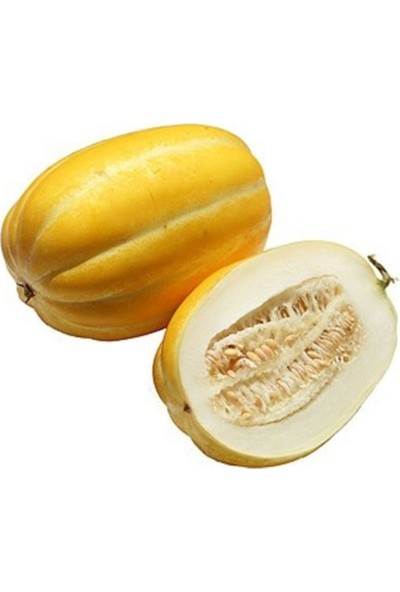 Serdar Çam Tohumculuk Mini Kore Kavunu Tohumu 5'li Serdar Çam Tohumculuk Mini Kore Kavunu Tohumu 5'li