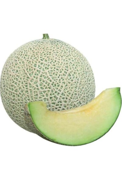 Serdar Çam Tohumculuk Nadir Japon Kavunu Tohumu 5'li Serdar Çam Tohumculuk Nadir Japon Kavunu Tohumu 5'li